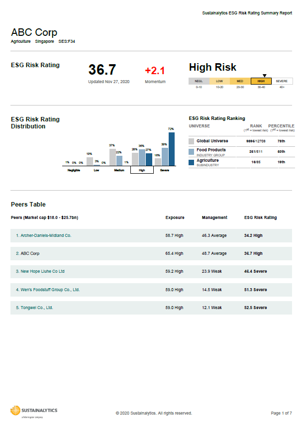 Sample ESG Risk Rating Report