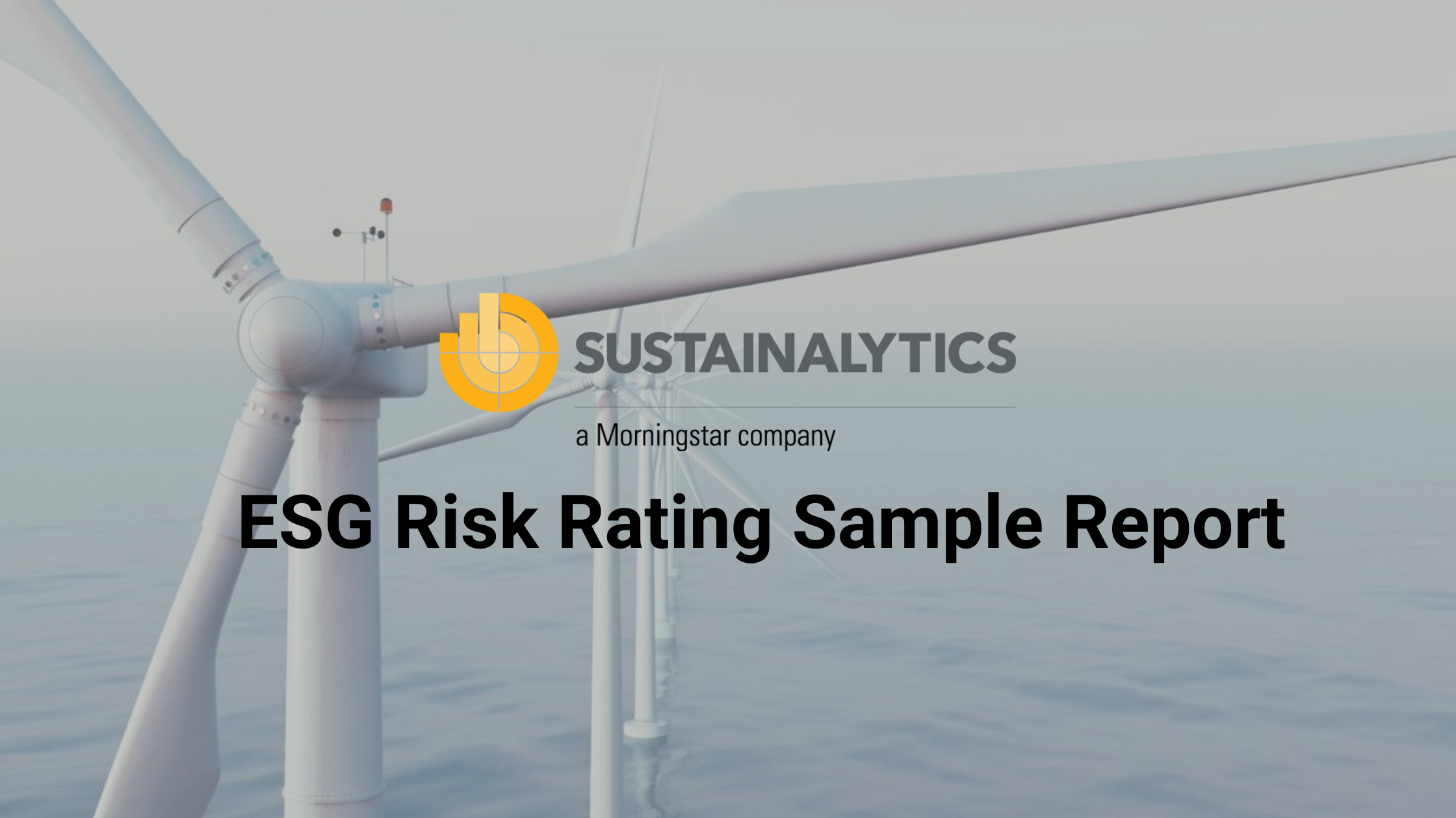 ESG Risk Ratings Information for Companies