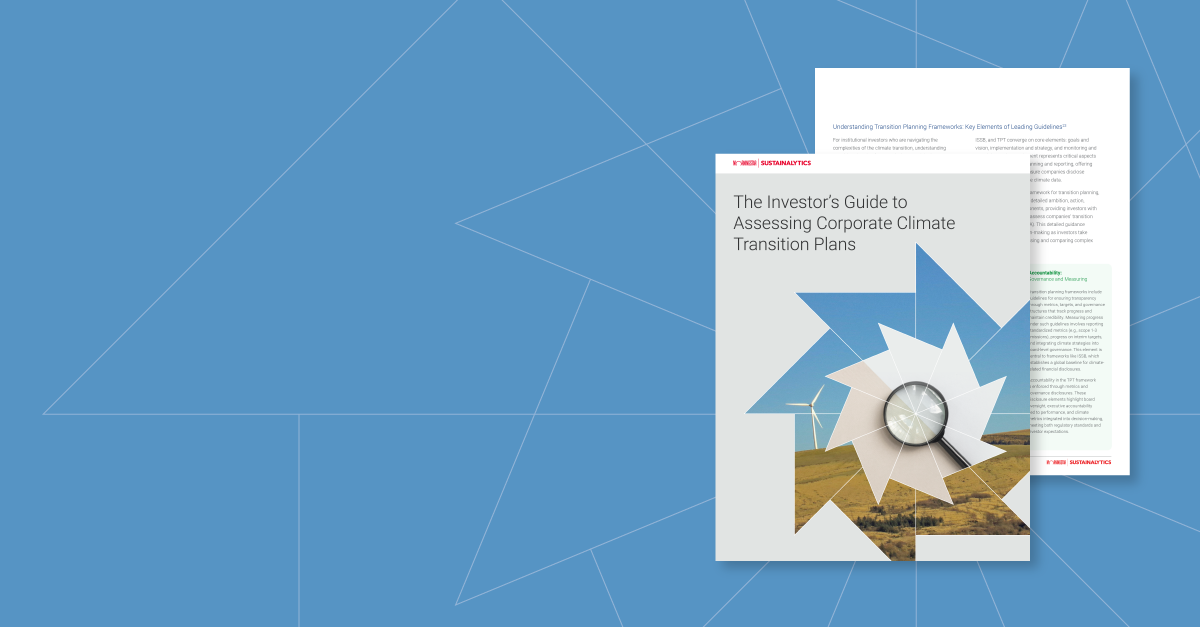 The Investor's Guide to Assessing Corporate Climate Transition Plans